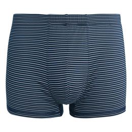 VanVaan Herren Mikrofasershorts mit Streifen
