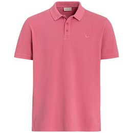 VanVaan Herren Poloshirt in Piqu&eacute;-Qualit&auml;t