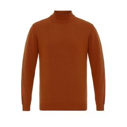 Anou Anou Jumper Herren Gr&ouml;&szlig;e M braun