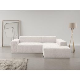 WERK2 Ecksofa &raquo;Zeus-L modern & zeitlos, Breite 253 cm, bequemes Sofa&laquo; Curvy Trend Ecksofa mit urbaner Optik beige 100% Polyester