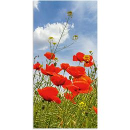 Artland Alu-Dibond-Druck &raquo;Mohnblumen im Panorama&laquo; Blumenbilder 1 Stk. tlg. f&uuml;r Innen- und Au&szlig;enbereich geeignet, Outdoorbild rot