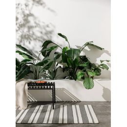 benuta Nest In- & Outdoor-L&auml;ufer Rida Beige/Schwarz 80x250 cm - Teppich f&uuml;r Balkon, Terrasse & Garten