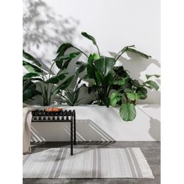 benuta Nest In- & Outdoor-L&auml;ufer Siena Grau 80x250 cm - Teppich f&uuml;r Balkon, Terrasse & Garten