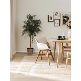 benuta Pop Baumwollteppich Isla Beige 120x170 cm - Moderner Kurzflor-Teppich f&uuml;r Wohnzimmer