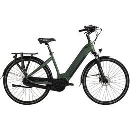 Adore Unisex &raquo;CX-280&laquo; 8 Gang Shimano Nexus Schaltwerk Nabenschaltung Mittelmotor 250 W Pedelec, Elektrofahrrad f&uuml;r Damen u. Herren gr&uuml;n