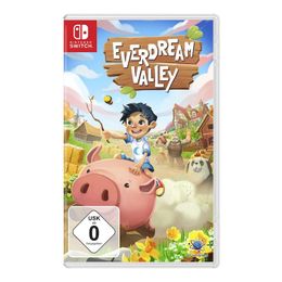 U&I Entertainment Spielesoftware &raquo;Everdream Valley&laquo; Nintendo Switch Nachts erwacht die Magie: Bei Nacht kommt die Magie des Tals zum Vorschein und in 