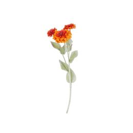 Butlers Kunstblume FLORISTA Zinnia in Orange | Gr.: onesize