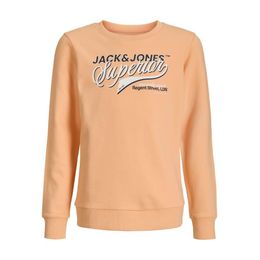 Jack & Jones JACK & JONES Junior Sweatshirt in Beach Sand | Gr.: 176