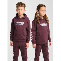 Hummel Kapuzenpullover Hmljr Logo Lebensstil Kinder in VINEYARD WINE | Gr.: 104