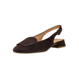 Paul Green Ballerinas in Moro | Gr.: 40