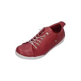 Andrea Conti Sneaker Low 0345724 in rot | Gr.: 39