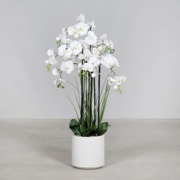 DPI Kunstblume Orchideen