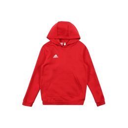 adidas Performance Athletic Sweatshirt 'Entrada 22' boy Red size 140
