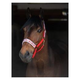 Loesdau Halfter Happy X-Mas rot PONY