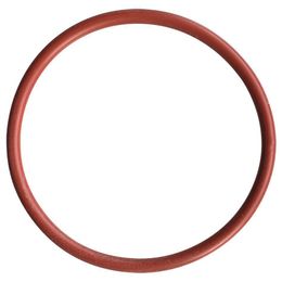 Truma O-Ring 47 x 1 mm, Combi D 4/6 (E) ab 04/2022 (34020-01377)