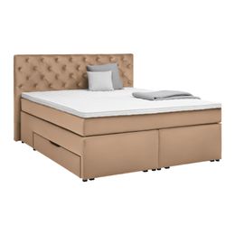 Boxspringbett Chester Terracotta ca. 160x200cm