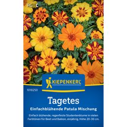 Tagetes 'Einfachbl&uuml;hende Patula Mischung'
