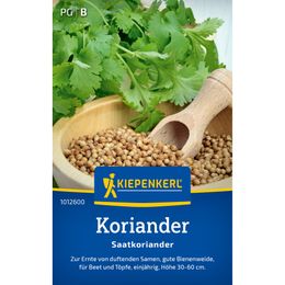 Koriander 'Saatkoriander'