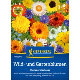 Blumenmischung 'Wild und Gartenblumen'
