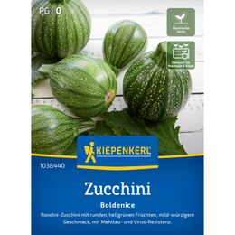 Zucchini 'Boldenice' F1-Hybride