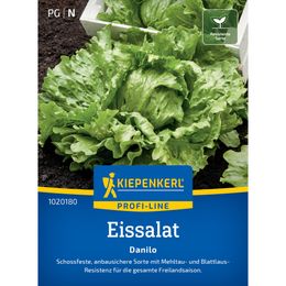 Eissalat 'Danilo'