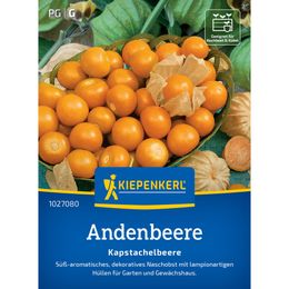 Andenbeere Kapstachelbeere