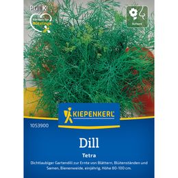 Dill 'Tetra'