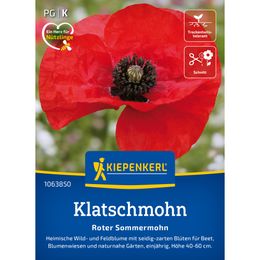Klatschmohn