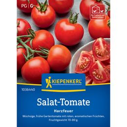 Salat-Tomate 'Harzfeuer' F1-Hybride