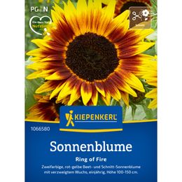 Sonnenblume 'Ring of Fire'