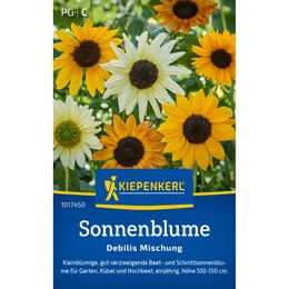 Sonnenblume 'Debilis Mischung'