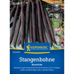 Stangenbohne 'Blauhilde'