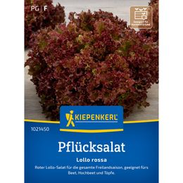 Pfl&uuml;cksalat 'Lollo rossa'