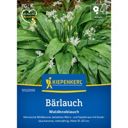 B&auml;rlauch 'Waldknoblauch'