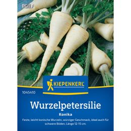 Wurzelpetersilie 'Konika'