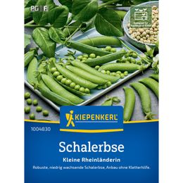 Schalerbse 'Kleine Rheinl&auml;nderin'