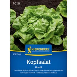 Kopfsalat 'Humil'