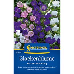 Glockenblume 'Marien Mischung'