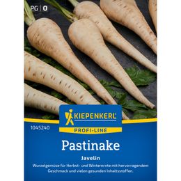 Pastinake 'Javelin' F1-Hybride