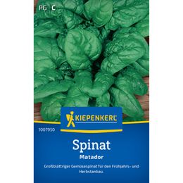Spinat 'Matador'