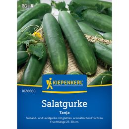 Salatgurke 'Tanja'