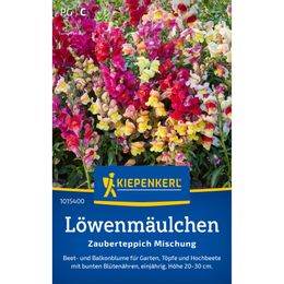 L&ouml;wenm&auml;ulchen 'Zauberteppich Mischung'