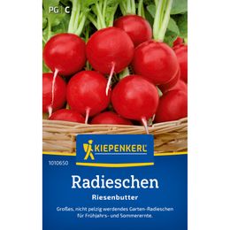 Radieschen 'Riesenbutter'