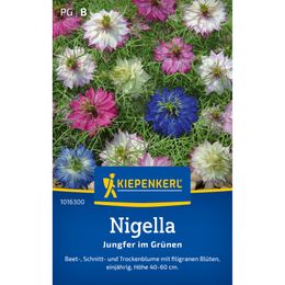 Nigella 'Jungfer im Gr&uuml;nen'
