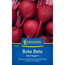 Rote Bete 'Rote Kugel 2'