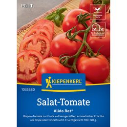 Salat-Tomate 'Alido Rot ' F1-Hybride