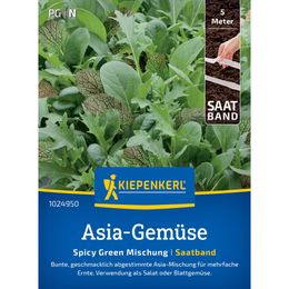 Asia-Gem&uuml;se 'Spicy Green Mischung' Saatband 5 m