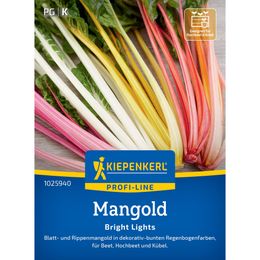 Mangold 'Bright Lights'