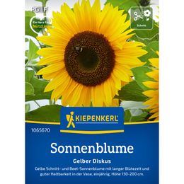 Sonnenblume 'Gelber Diskus'