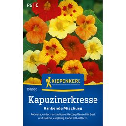 Kapuzinerkresse 'Rankende Mischung'